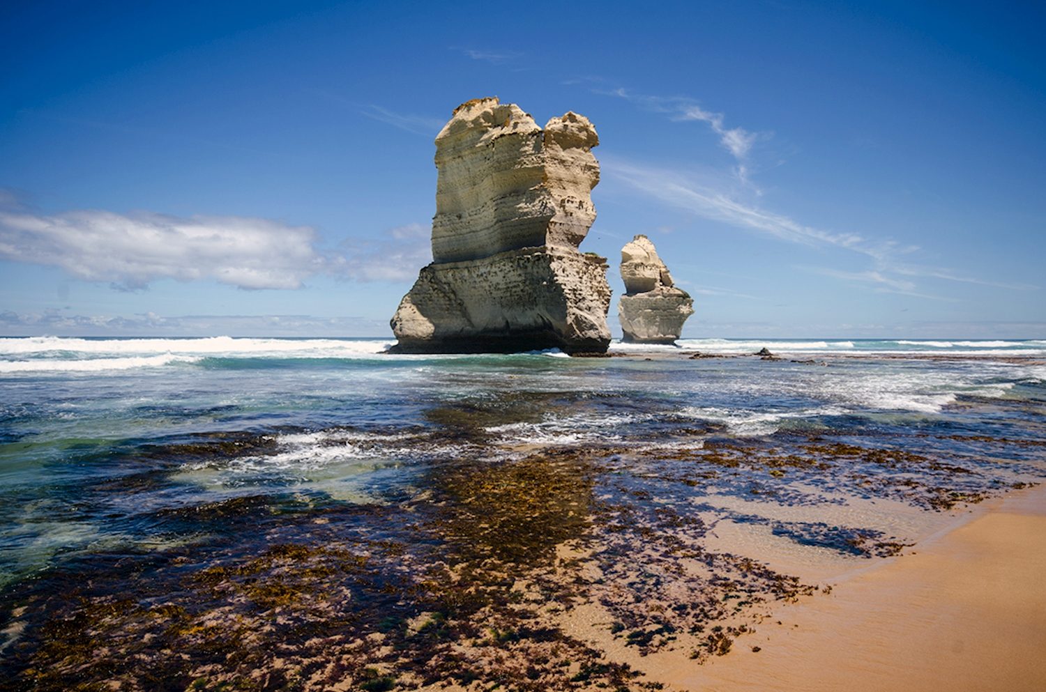 Great Ocean Road & Otway | Full Day Tour - Summer Travel