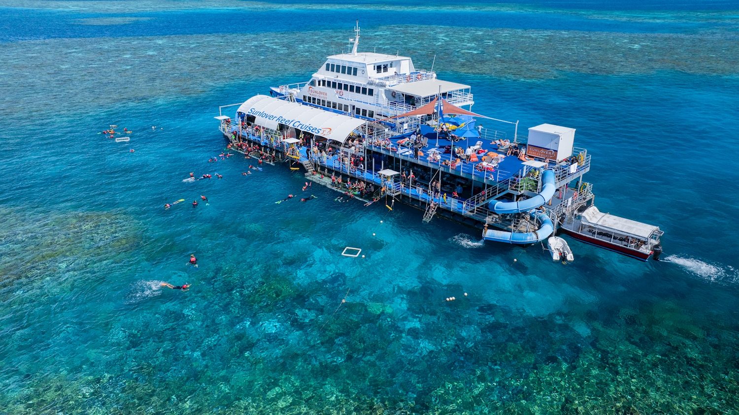 Pontoon Great Barrier Reef | Snorkel Tour - Summer Travel